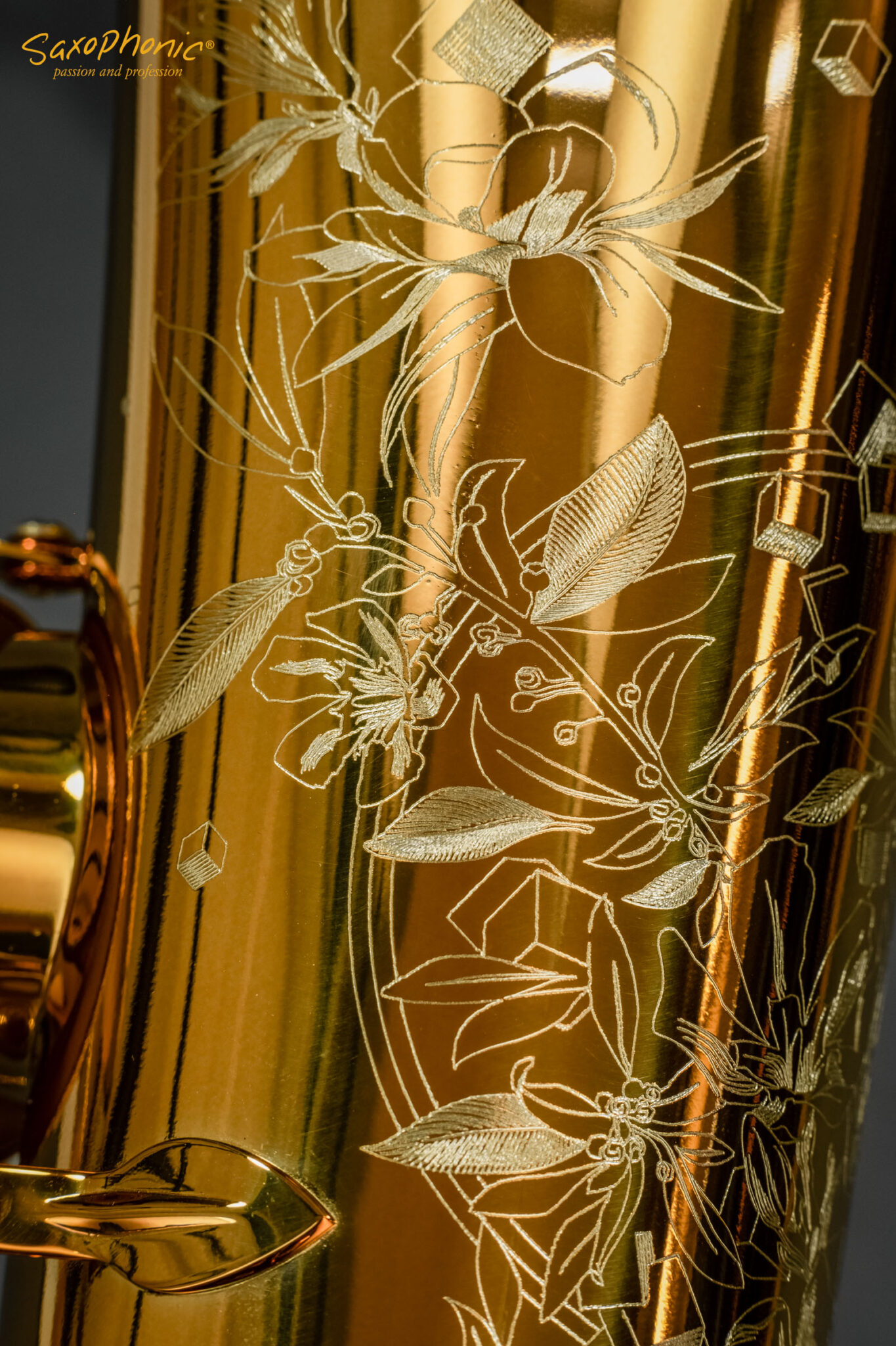 **Vorrätig** Tenorsaxophon Henri SELMER Paris SUPREME, dunkler Goldlack ...